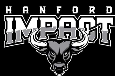 Redraw Raster To Vector Anything About Tracing In Adobe Illustrator For 10 Freelancer