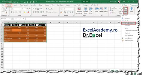 Top 20 Tips And Tricks Excel Cu Video Dr Excel Servicii Profesionale De Instruire Excel