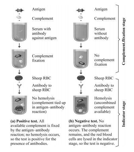 Complement Fixation Test Principle Procedure And Results
