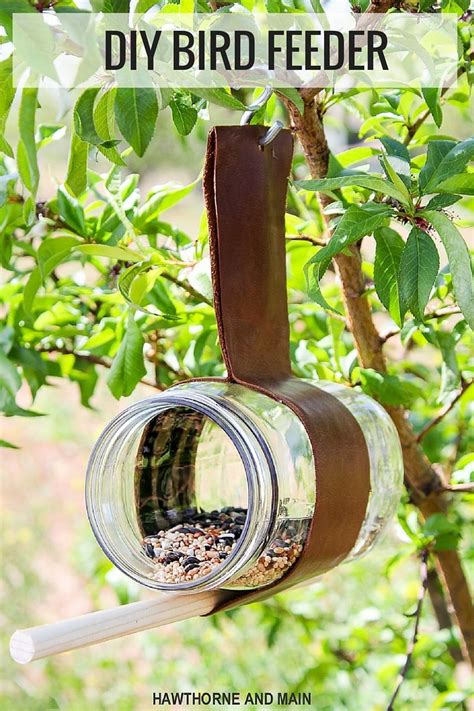 DIY Bird Feeder Lil Luna
