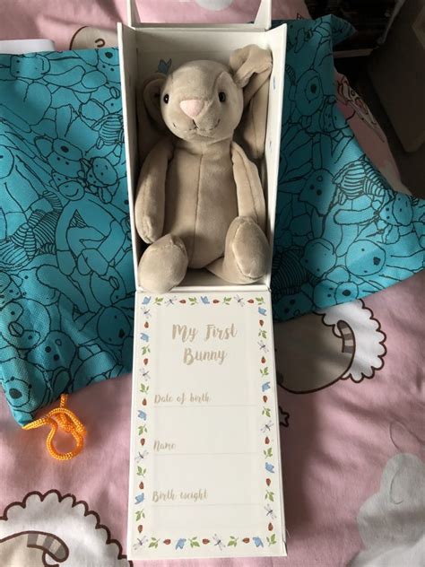 My First Bunny Bashful Bunnies