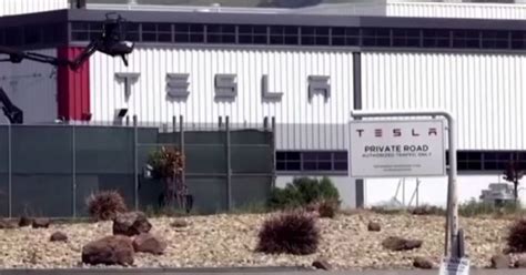 테슬라 주가 하락하는데도美 애널리스트들 그래도 사라