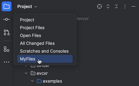 Scopes And File Colors Rustrover Documentation