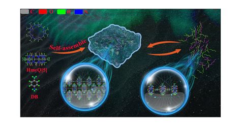 Supramolecular Room Temperature Phosphorescent Hydrogel Based On
