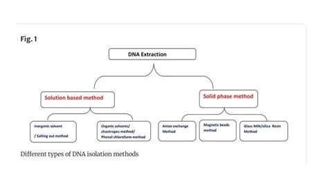 Different Techniques And Methods Of Dna And Rna Isolation Pdf