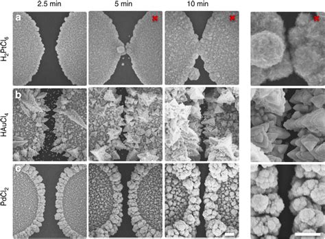 Comparison Of Sird Electroplating Parameters A C Time Course Of Sird Download Scientific