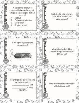 Cell Structure And Function Task Cards By But First We Science TPT