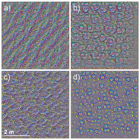 Mapping Forest Tree Species In High Resolution Uav Based Rgb Imagery By Means Of Convolutional