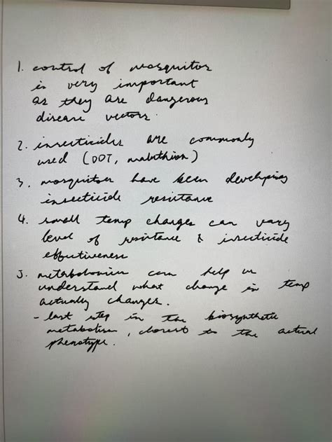 Old Writing Writing Nibs For Pen And Ink New Old Stock Shopjunket