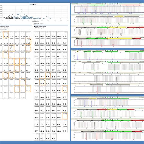 Pdf Miseq Fgx Sequencing System A New Platform For Forensic Genetics