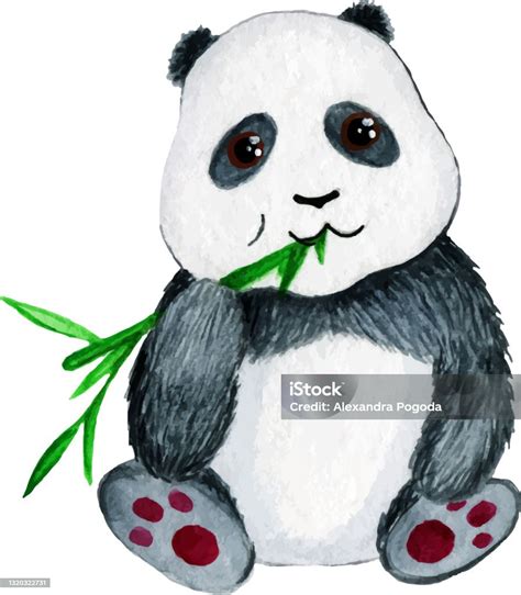 수채화 클립 아트 귀여운 아기 팬더 핸드 드로우 와와이 애니마 0명에 대한 스톡 벡터 아트 및 기타 이미지 0명 검은색 곰 Istock