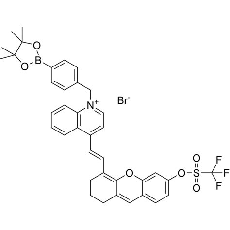 Dhx Sp Fluorescent Probe Medchemexpress