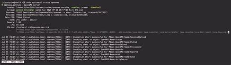 How To Install And Configure Opennms On Rhel 9 Centos Stream 9 Cloudspinx