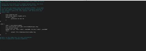 3 Does Not Work On My Web Browsers · Issue 5098 · Caddyservercaddy · Github