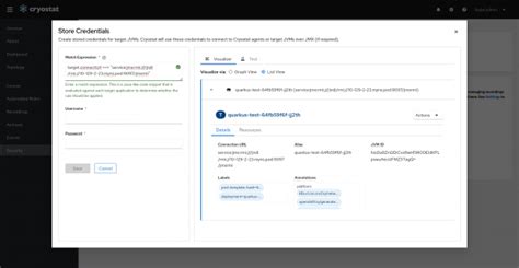 Getting Started With Match Expression Visualizer In Cryostat 23 Red