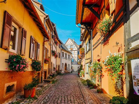 여행 코로나 시대의 유럽 여행 4 알자스 와인가도 브릭스 유럽