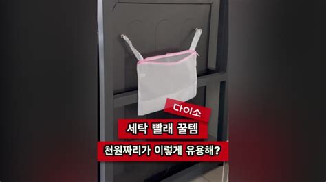 빨래 살림할 때 도움이 되는 다이소 꿀템 네이버 Tv
