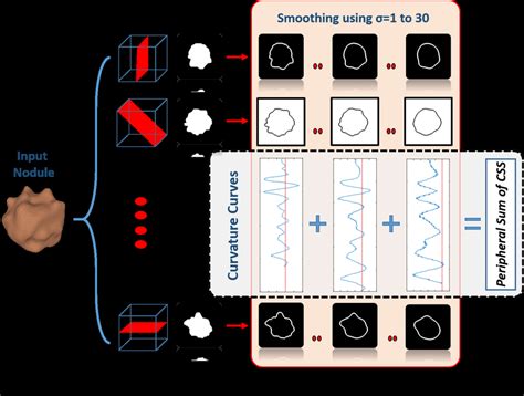 Multi Views Peripheral Sum Curvature Scale Space Illustration That