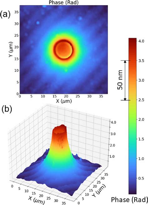 Optical Microscope With Nanometer Longitudinal Resolution Based On A