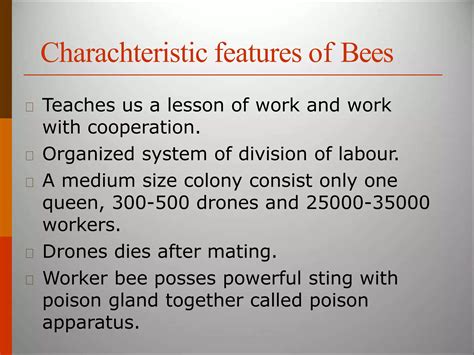 Social Behavior In Honey Bees Pptx