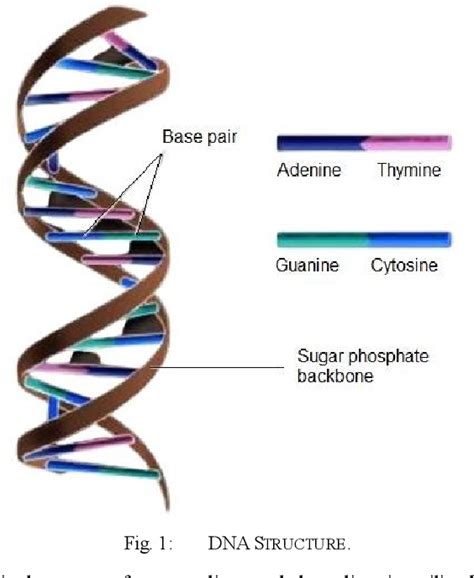 figure 1 from comparison of ecc and rsa algorithm with dna encoding for