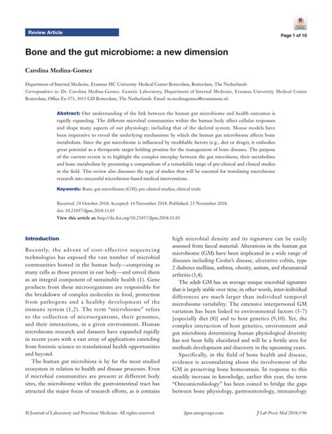 Pdf Bone And The Gut Microbiome A New Dimension