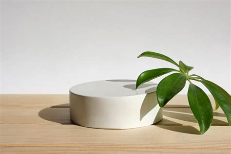 화장품 프리젠 테이션 연단 추상 적 최소한의 기하학적 형태입니다 실린더 스톤 구 한 형태 그림자 제품을 표시하는 장면 쇼케이스