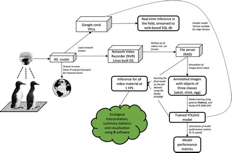 Illustration Of The Data Collection And Analysis Pipeline Used In This Download Scientific