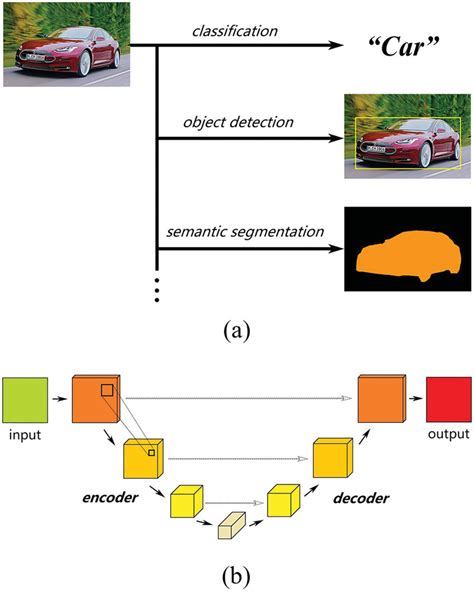 A A Schematic Illustrating The Typical Uses Of The Cnn The Figure Download Scientific
