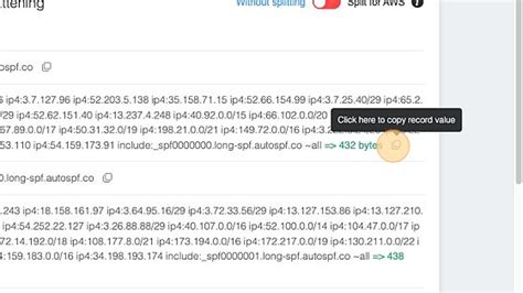 Can I Manually Flattened My Dns Spf Record Automatic Spf Management