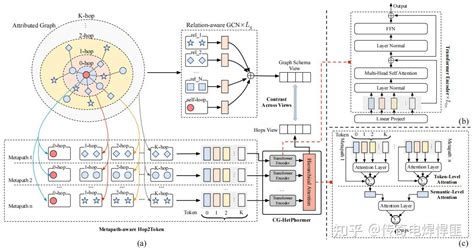 Gtc Gnn Transformer Co Contrastive Learning For Self Supervised
