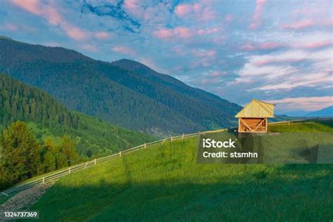 아름다운 여름 산 시골 풍경 카르파티아 산맥의 야생화가 있는 녹색 언덕 목초지 우크라이나 중간 땅에 우목 0명에 대한 스톡 사진 및 기타 이미지 Istock