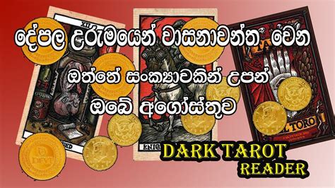 දේපල උරුමයෙන් සැපවත්වෙන ඔත්තේ දිනයක උපන් ඔබගේ අගෝස්තුව Sinhala Tarot