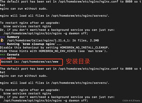 Mac使用brew安装nginx并使用brew Install Nginx Csdn博客