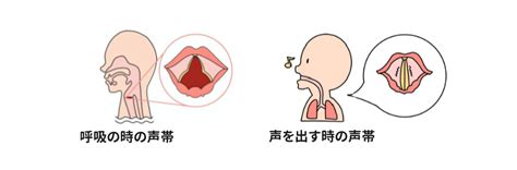 「声」からわかること 江藤病院｜リハビリテーション科（整形外科）・糖尿内科・一般内科 ・外科・消化器科・脳神経外科・皮膚科・耳鼻咽喉科