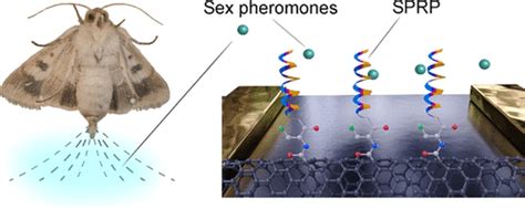 Acs Sensors Vol 8 No 1