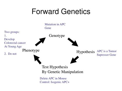 Ppt Next Generation Sequencing Technologies Powerpoint Presentation