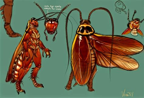 Insect Man