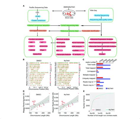 The Long Read Sequencing Flow Chart And Long Read Data Download Scientific Diagram