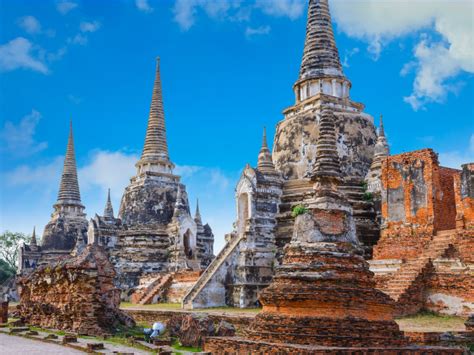 Voyager Avec Son Chat En Thaïlande