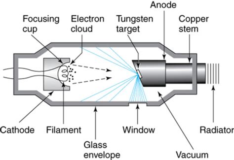 PRODUCTION OF X RAYS Flashcards Quizlet