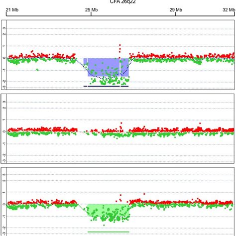 Sequence Alignment View Of A Single Binary Sequence Alignmentmap Bam