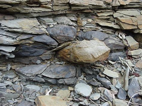 About Polystrate Fossils Ianjuby