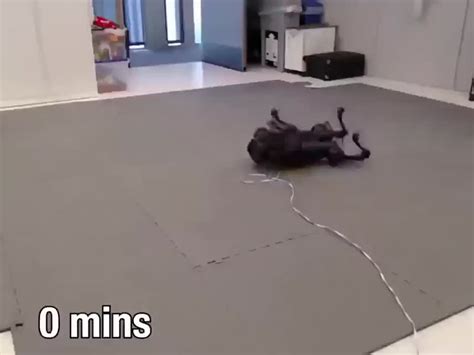 Arslan Habib® On Linkedin Ai Algorithm Artificialintelligence Robotics Web3 Innovation