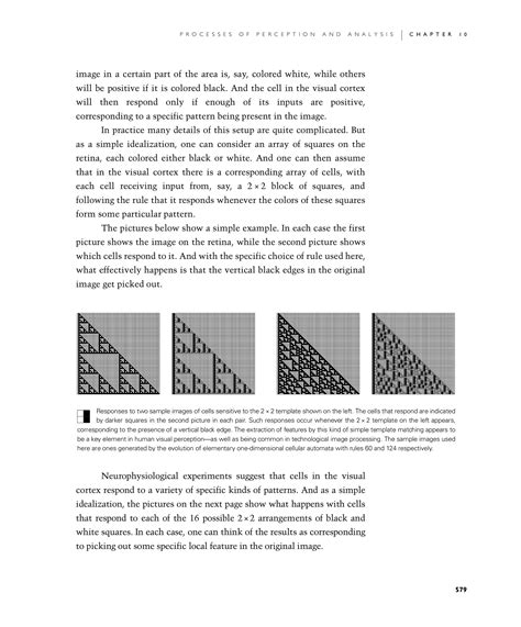 Visual Perception A New Kind Of Science Online By Stephen Wolfram