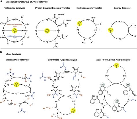 Emerging Concepts In Photocatalytic Organic Synthesis Pmc