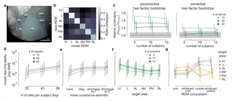 Results In Mice With Calcium Imaging Data A Mouse Visual Cortex