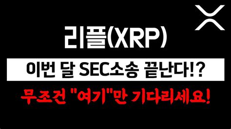 리플 이달 말에 법정 공방 끝난다 여기서 크게 오릅니다 미리 준비하세요 리플코인 분석 및 전망 Youtube