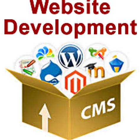 Services Dynamic Web Development