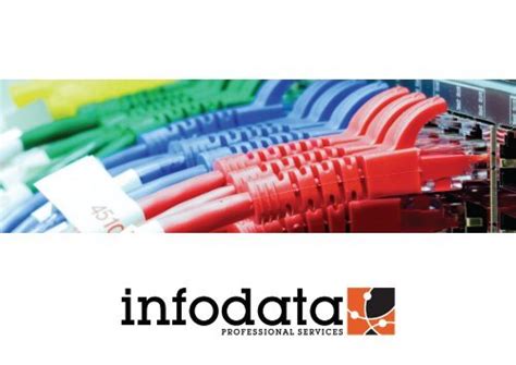 Infodata Professional Services